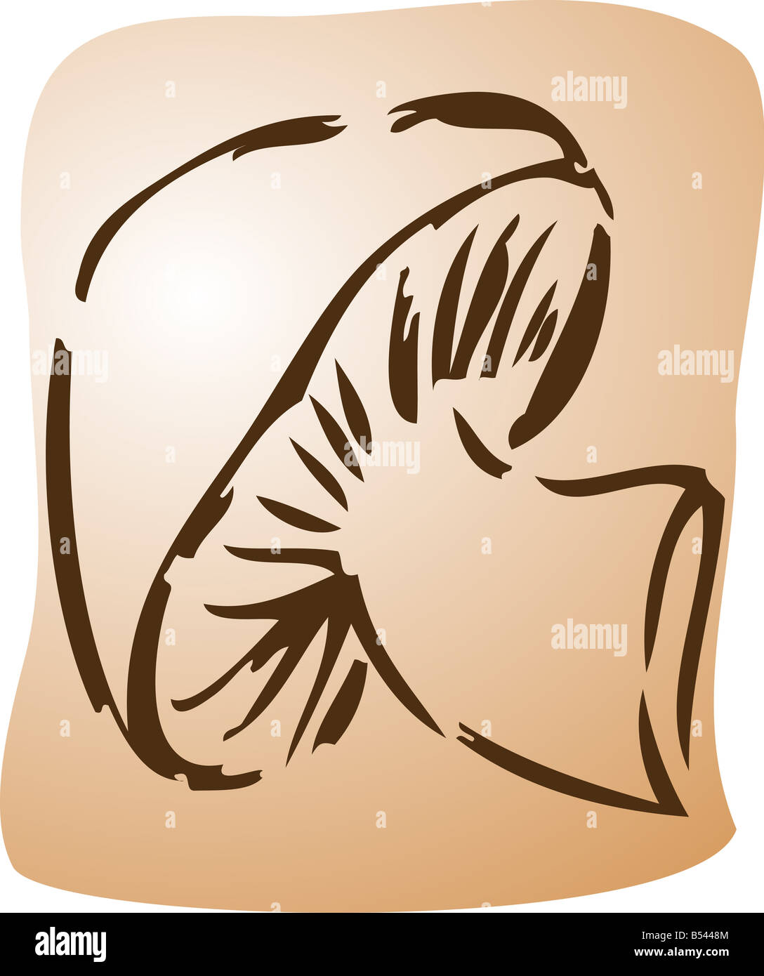 Sketch illustration of button mushroom Stock Photo - Alamy