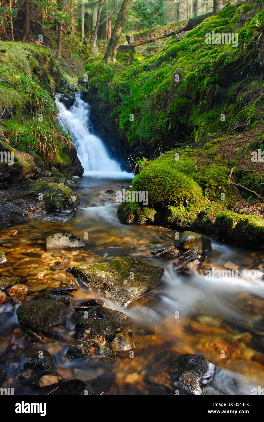 Puck’s glen scotland hi-res stock photography and images - Alamy