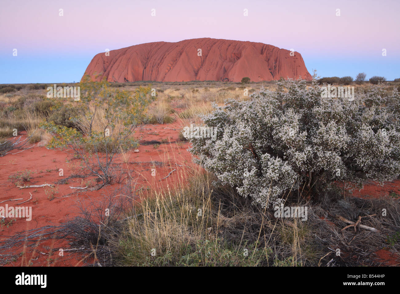 Uluru at sunrise, Central Australia Stock Photo - Alamy