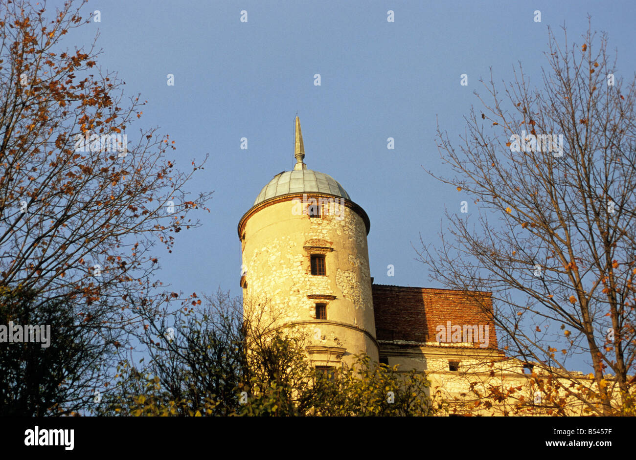 Janowiec Castle, Poland Stock Photo - Alamy