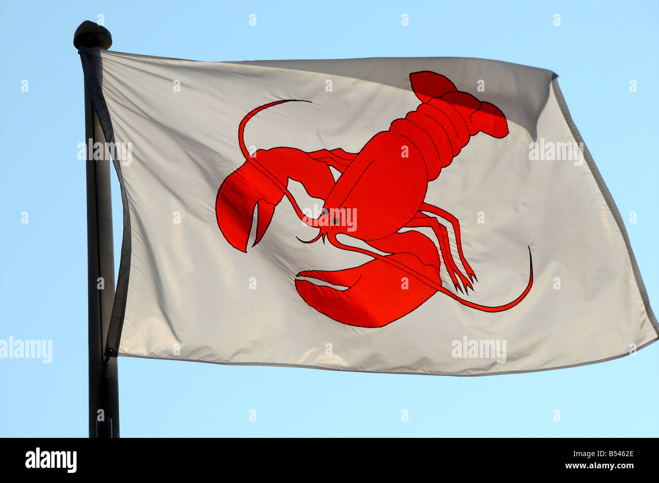 Portland maine lobster hi-res stock photography and images - Alamy