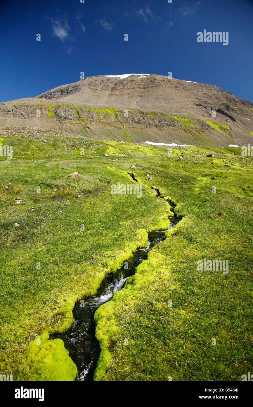 Wilderness spring hi-res stock photography and images - Alamy