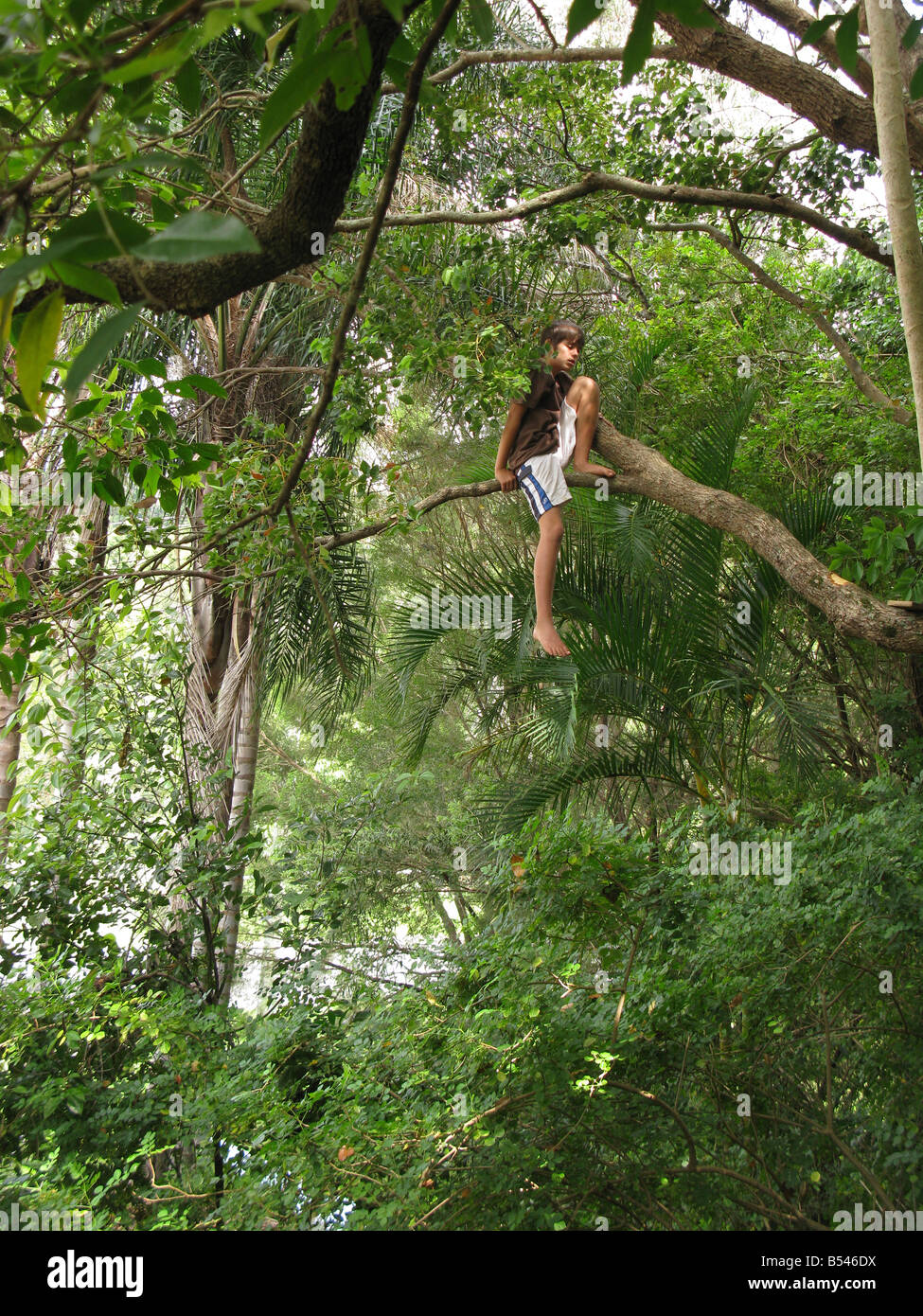 Boy climbing tree barefoot hi-res stock photography and images - Alamy