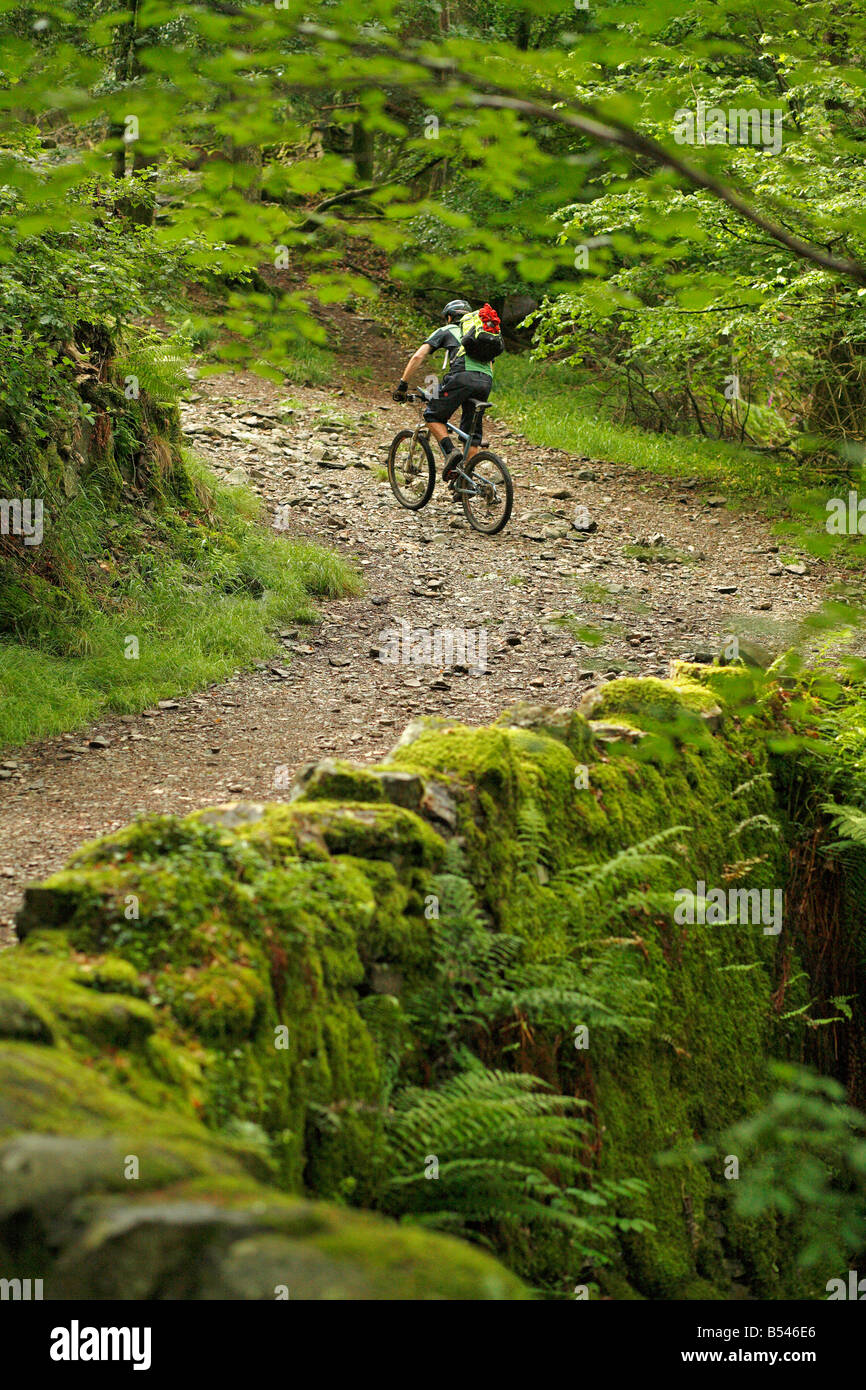 Mountain Biker Riding on Stony Path in the Lake District Stock Photo ...