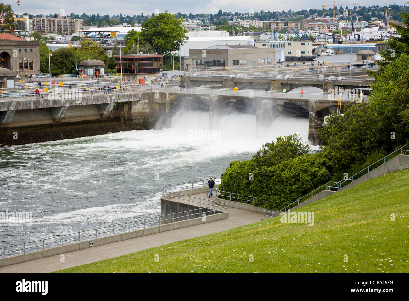 Ballard Locks Seattle Wa