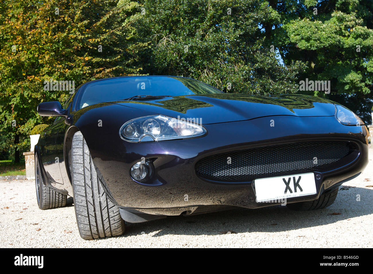 Modified Jaguar Xk8 Wholesale USA | www.pinnaxis.com