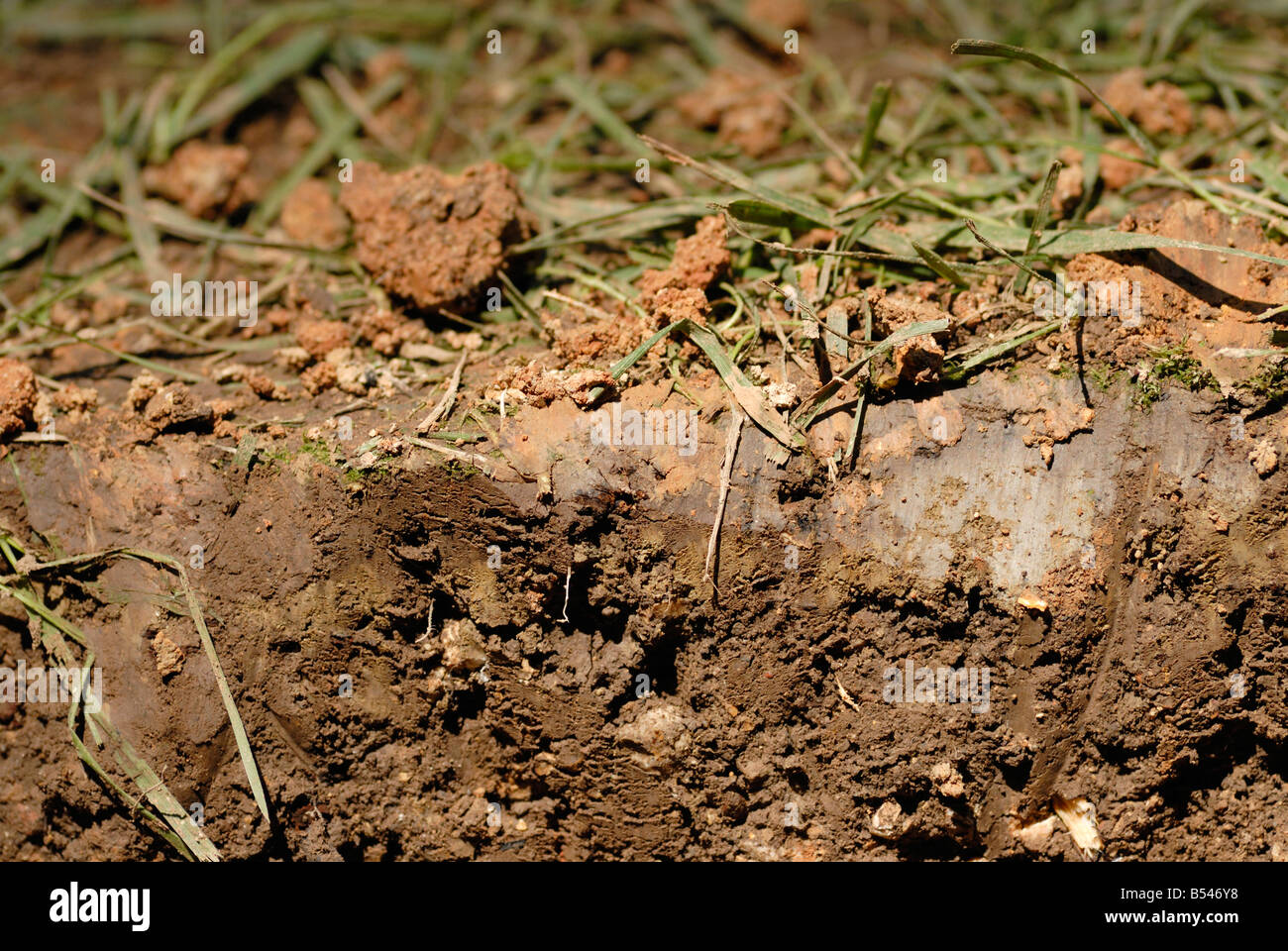 Soil cross section hi-res stock photography and images - Alamy