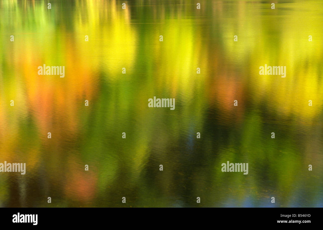 River teviot scotland borders hi-res stock photography and images - Alamy