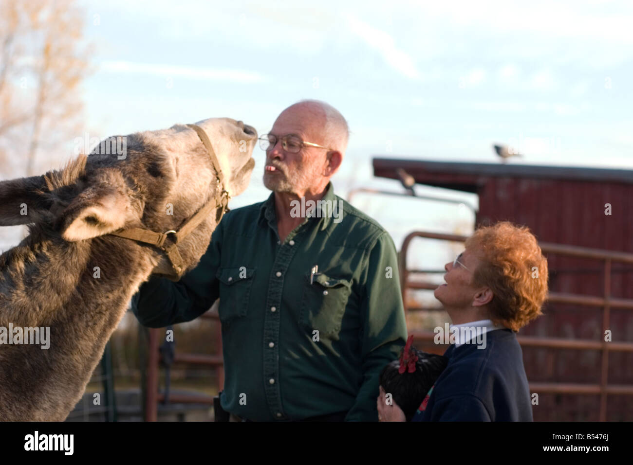 Donkey taking a candy from Ray Allen while Peg Allen looks on South ...