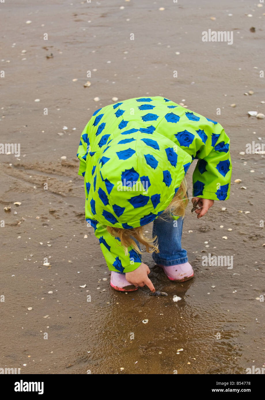 Collecting shells sand hi-res stock photography and images - Alamy