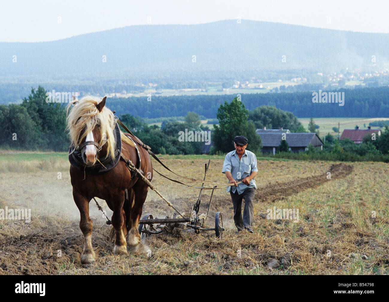 Poland Psary village, tillage drudgery toil with horse plough Stock ...