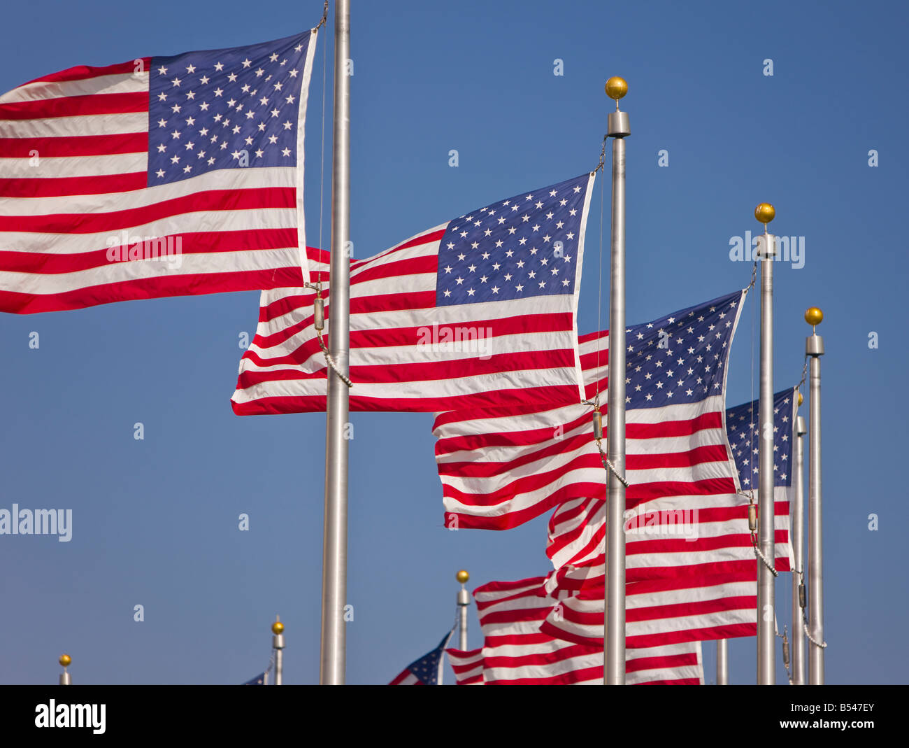 WASHINGTON DC USA United States flags flying on flagpoles at the ...