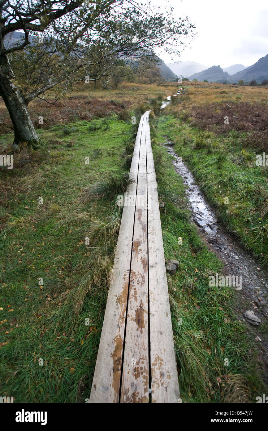 Duck boards hi-res stock photography and images - Alamy