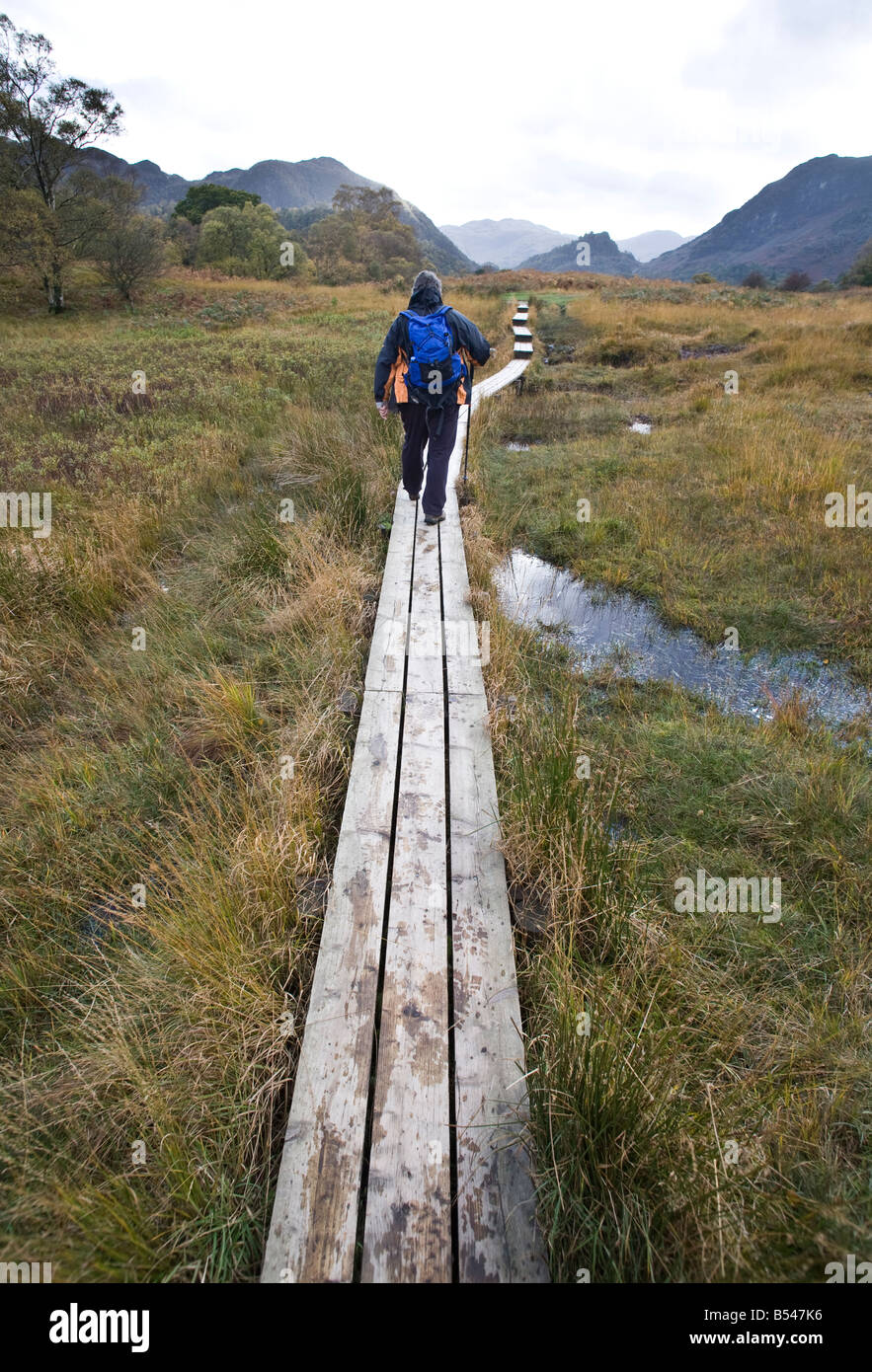 Duckboard walkway hi-res stock photography and images - Alamy