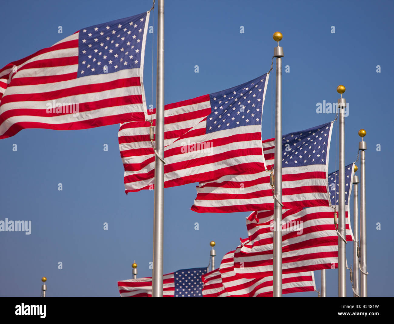 WASHINGTON DC USA United States flags flying on flagpoles at the ...