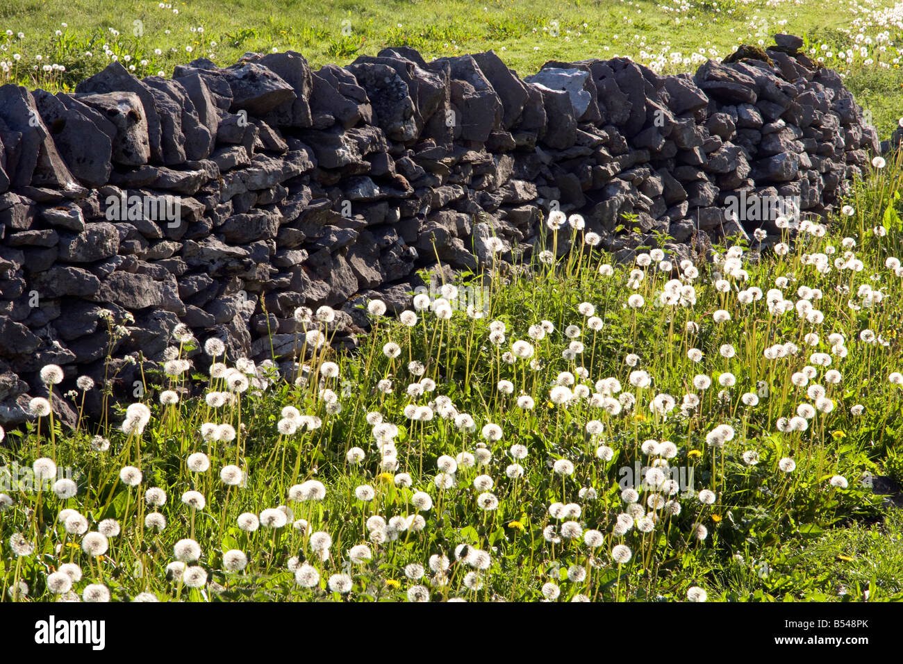 Traditional english wall hi-res stock photography and images - Alamy
