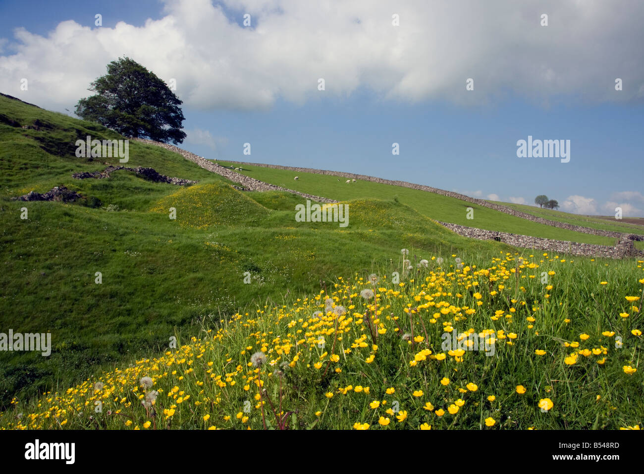 Derbyshire walls hi-res stock photography and images - Alamy