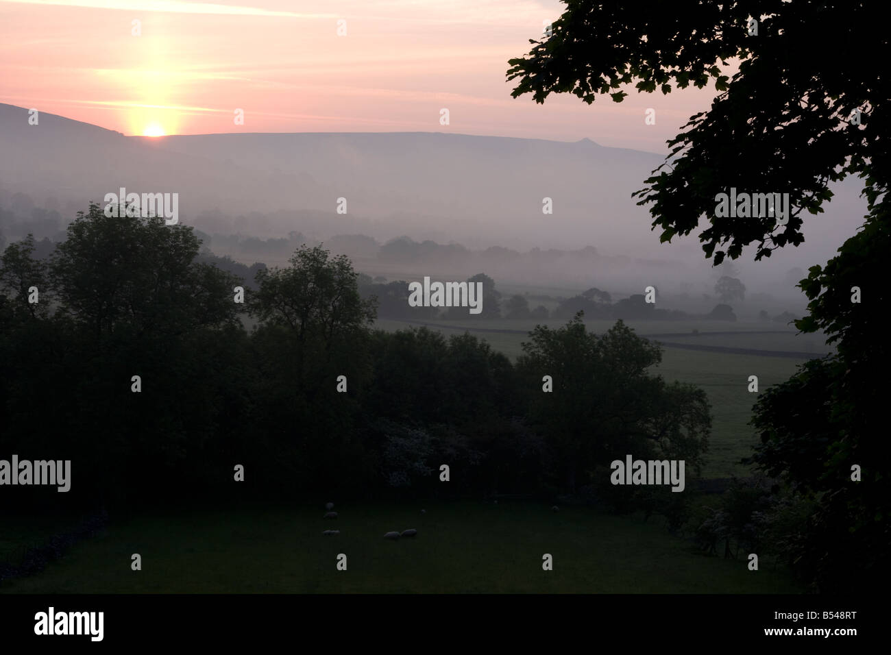 farmland and trees at sunrise in the castleton valley peak district ...