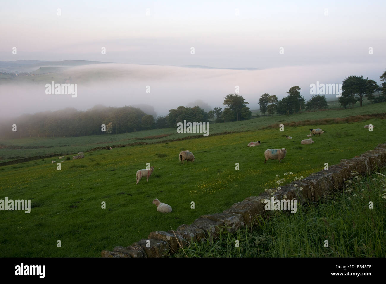 English farming landscape hi-res stock photography and images - Alamy