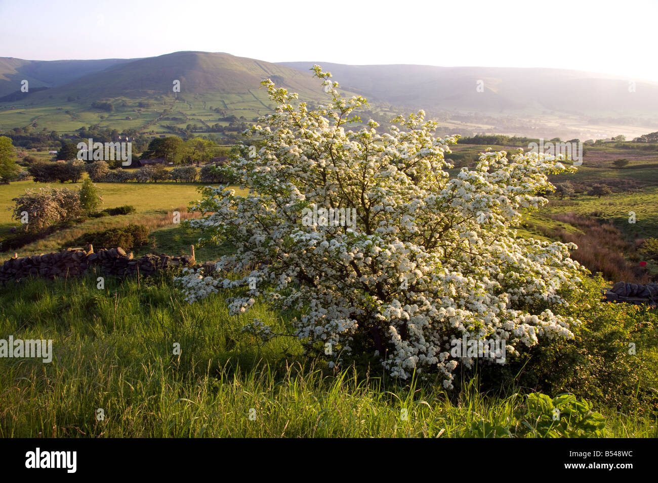 Castleton Valley High Resolution Stock Photography and Images - Alamy