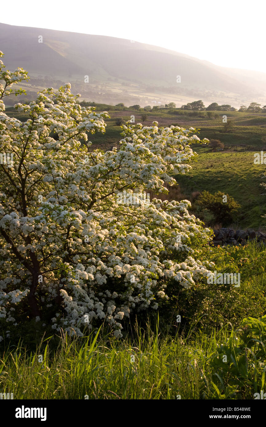 Castleton Valley High Resolution Stock Photography and Images - Alamy