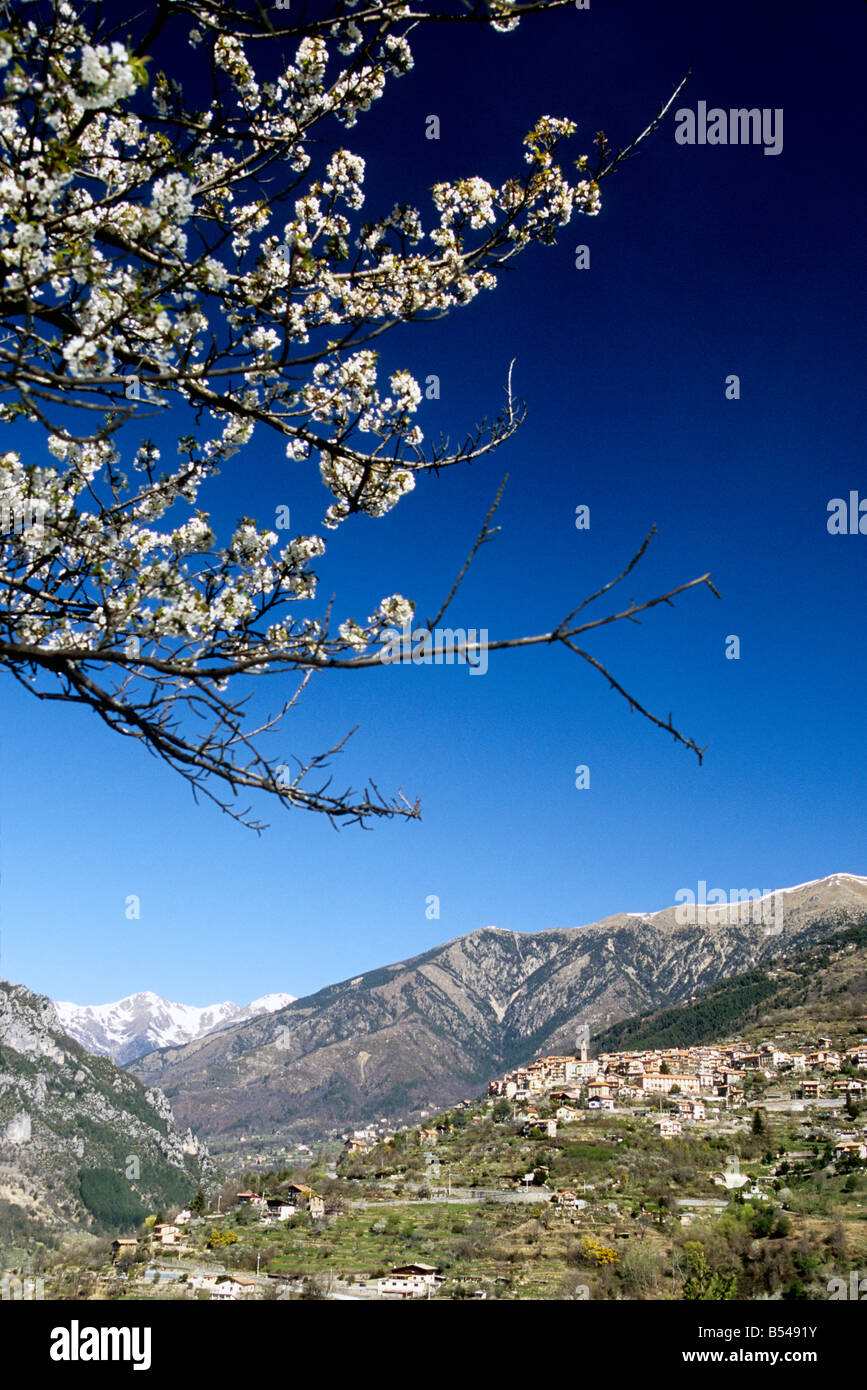 Vesubie valley during spring time Stock Photo - Alamy