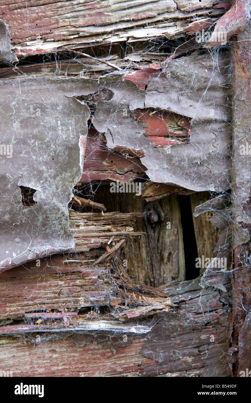 old decayed wood texture paint rotten Stock Photo - Alamy
