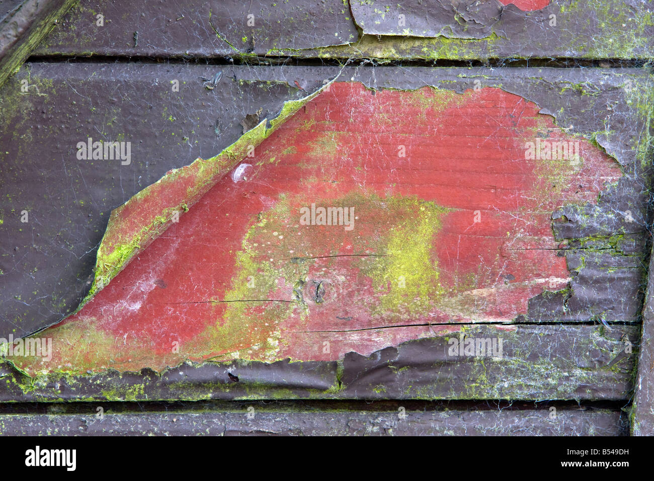 wood paint texture and decay Stock Photo - Alamy