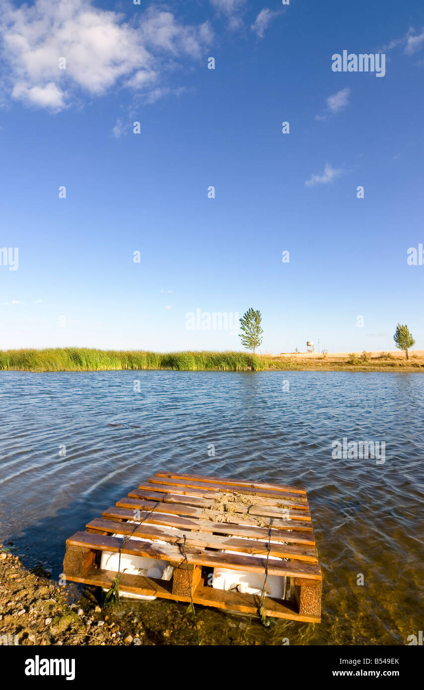 Lonely lake hi-res stock photography and images - Alamy