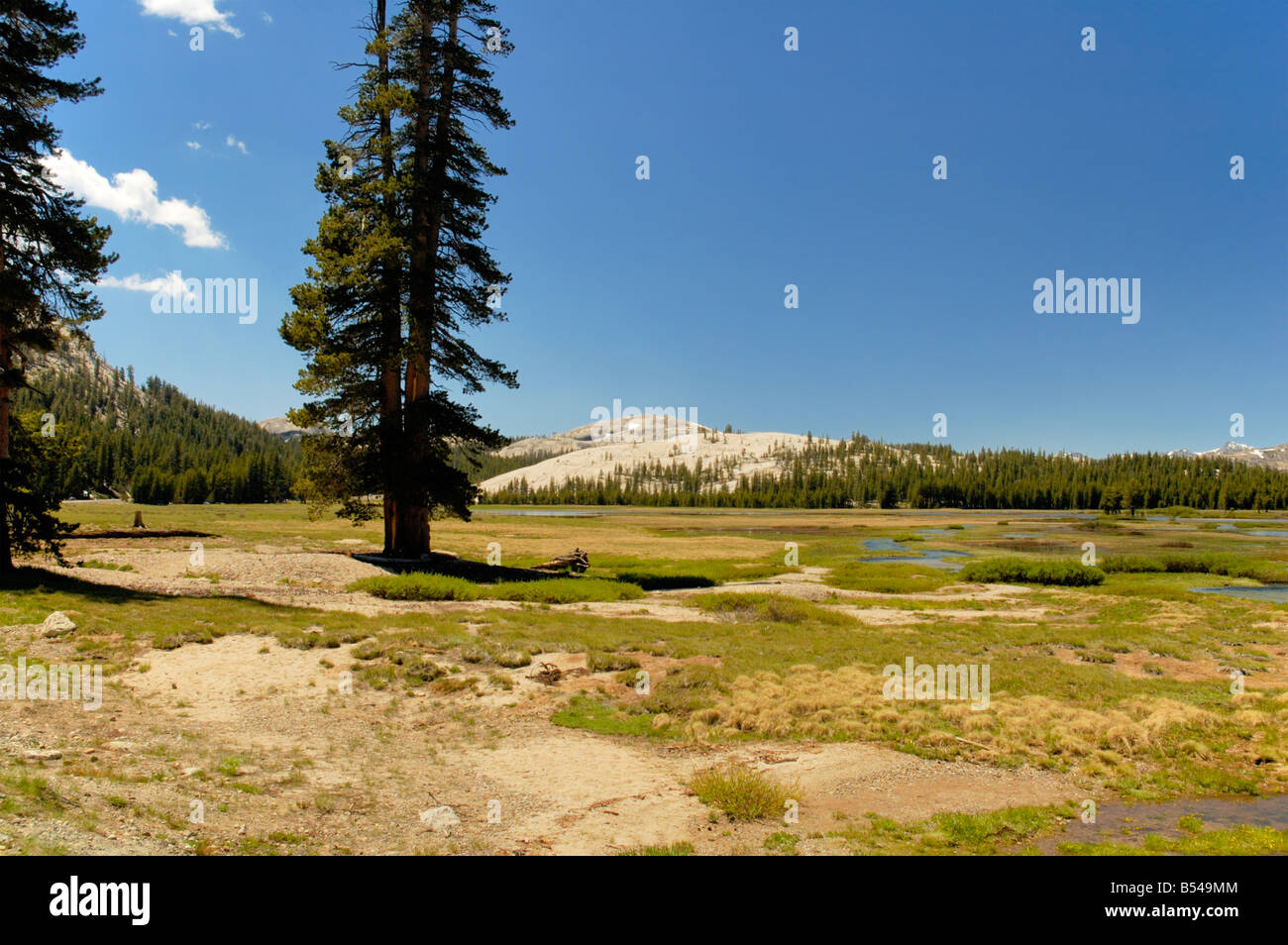 Tuolumne Meadows with Pothole Dome along Tioga Road in Yosemite ...