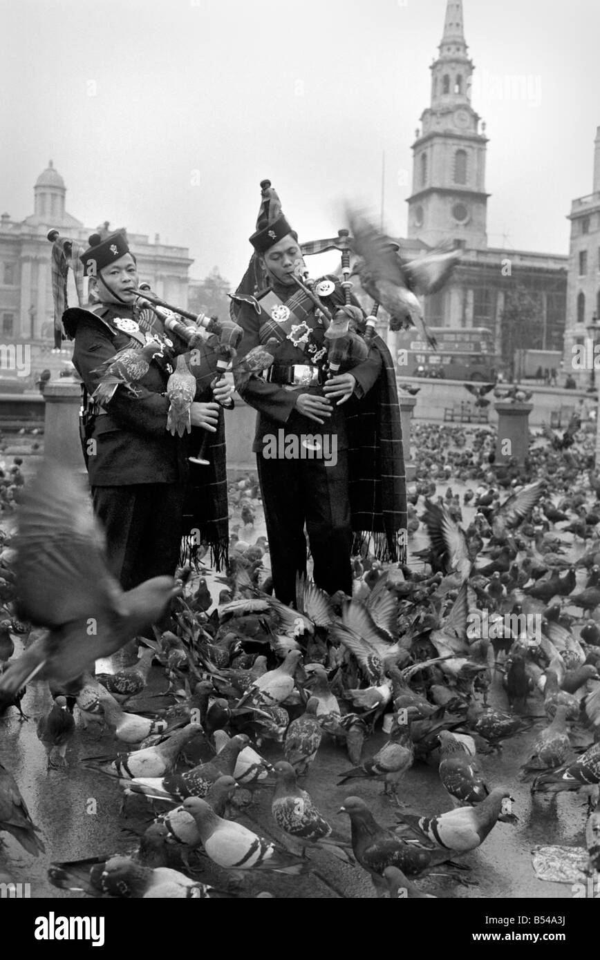 Military Army: The 7th Duke of Edinburgh's Own Gurkha Rifles, many whom ...