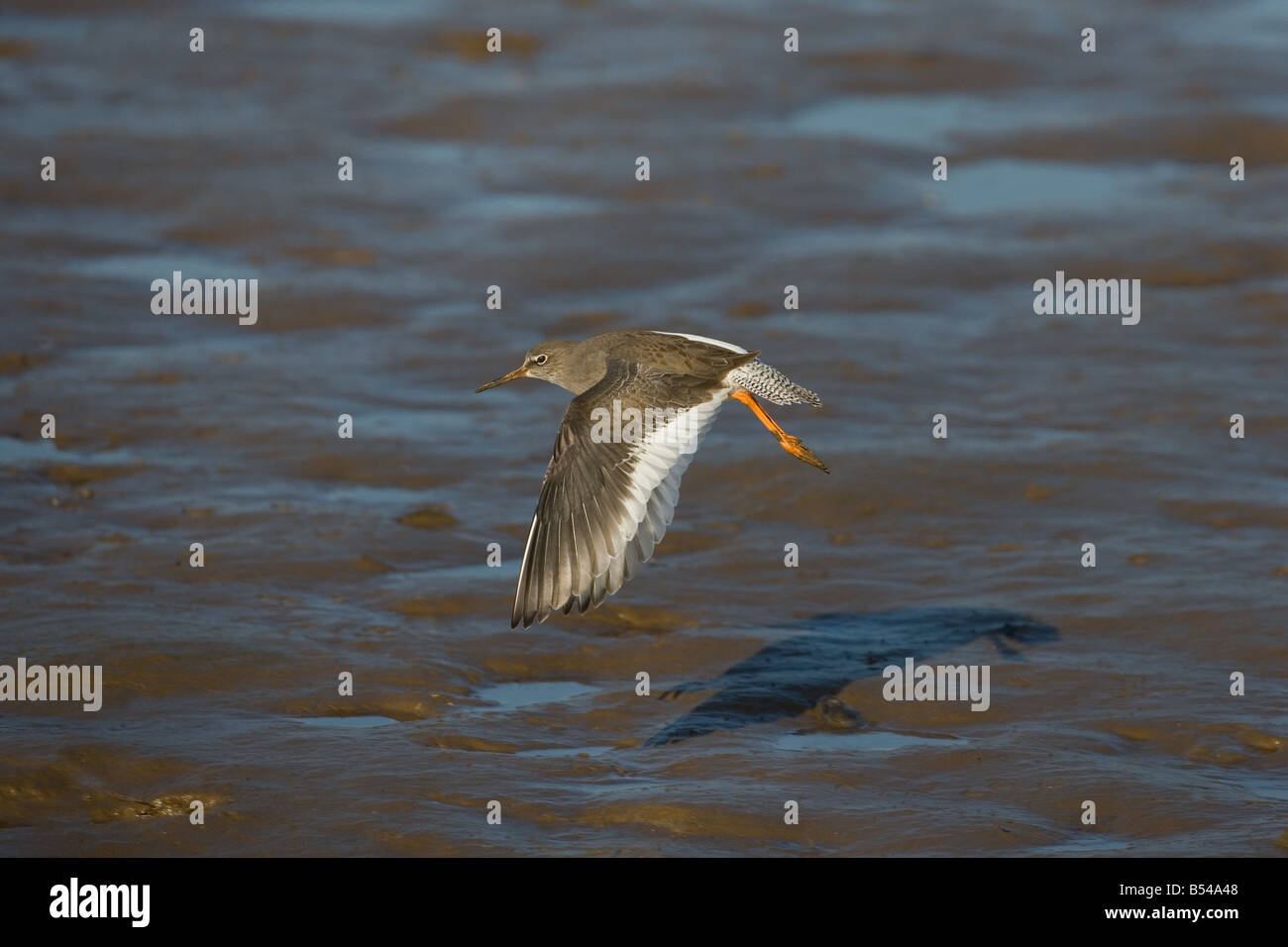 Red sea flight hi-res stock photography and images - Alamy