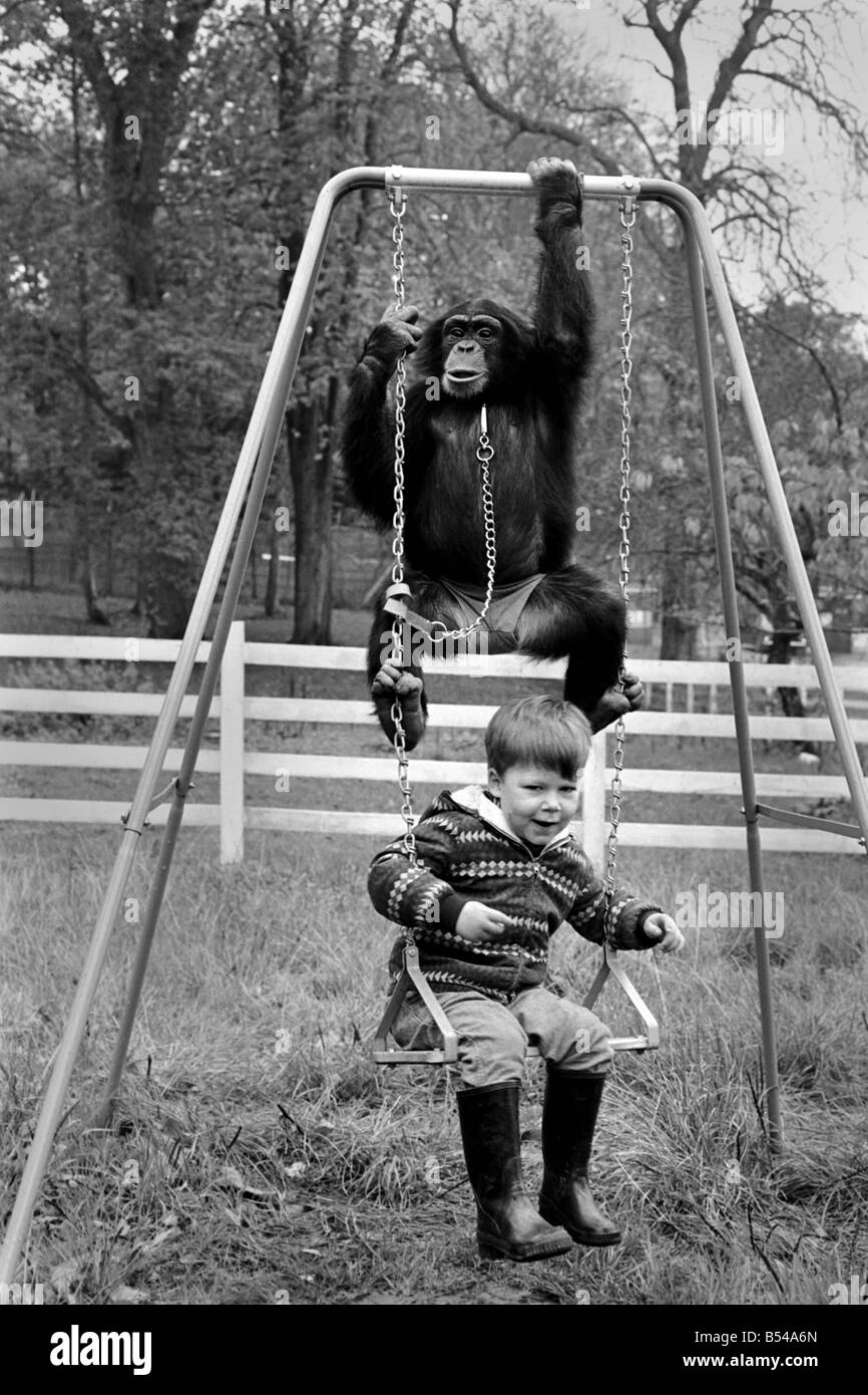 For 2 year old David Cawley, who lives on the Lion Reserve, at Longleat ...