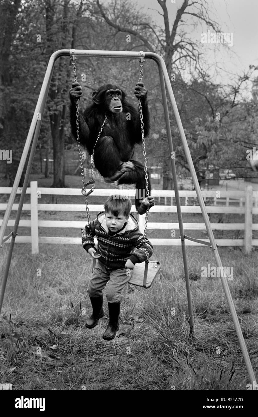 For 2 year old David Cawley, who lives on the Lion Reserve, at Longleat ...