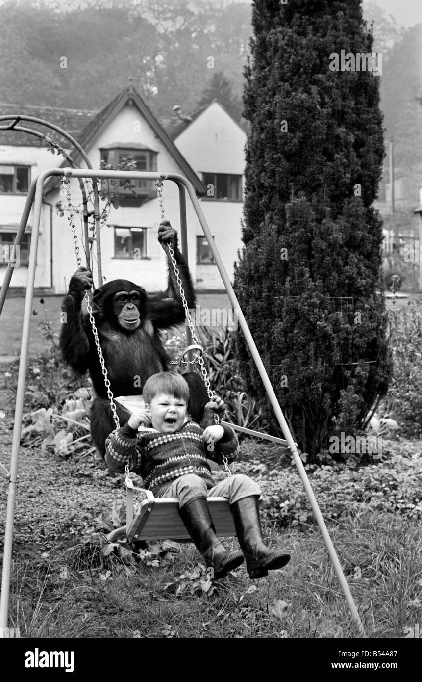 For 2 year old David Cawley, who lives on the Lion Reserve, at Longleat ...