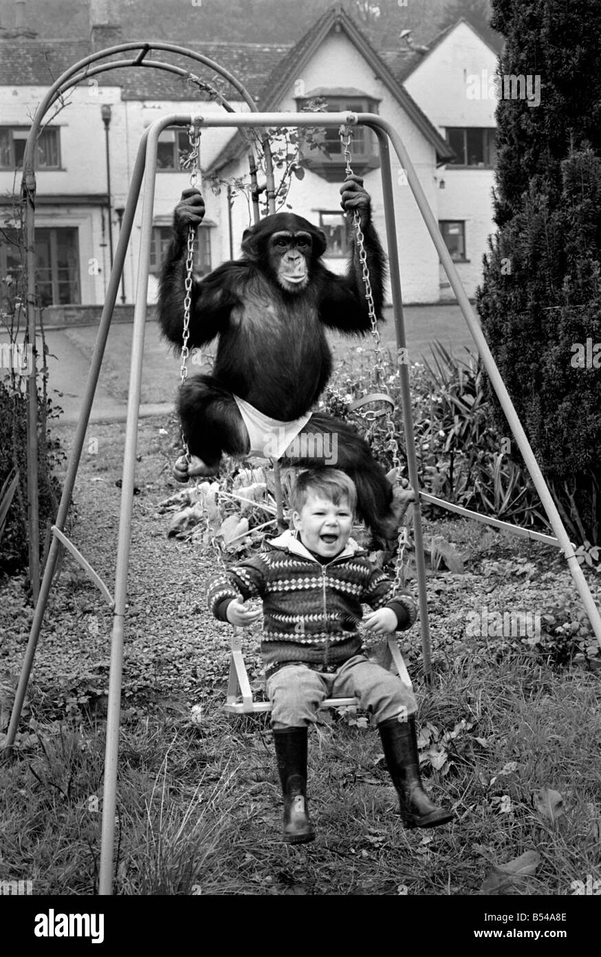 David cawley hi-res stock photography and images - Alamy