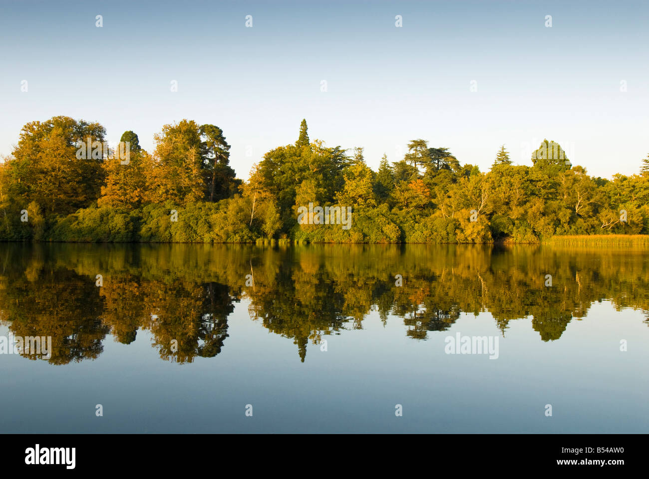 Reflection of the sun and trees hi-res stock photography and images - Alamy