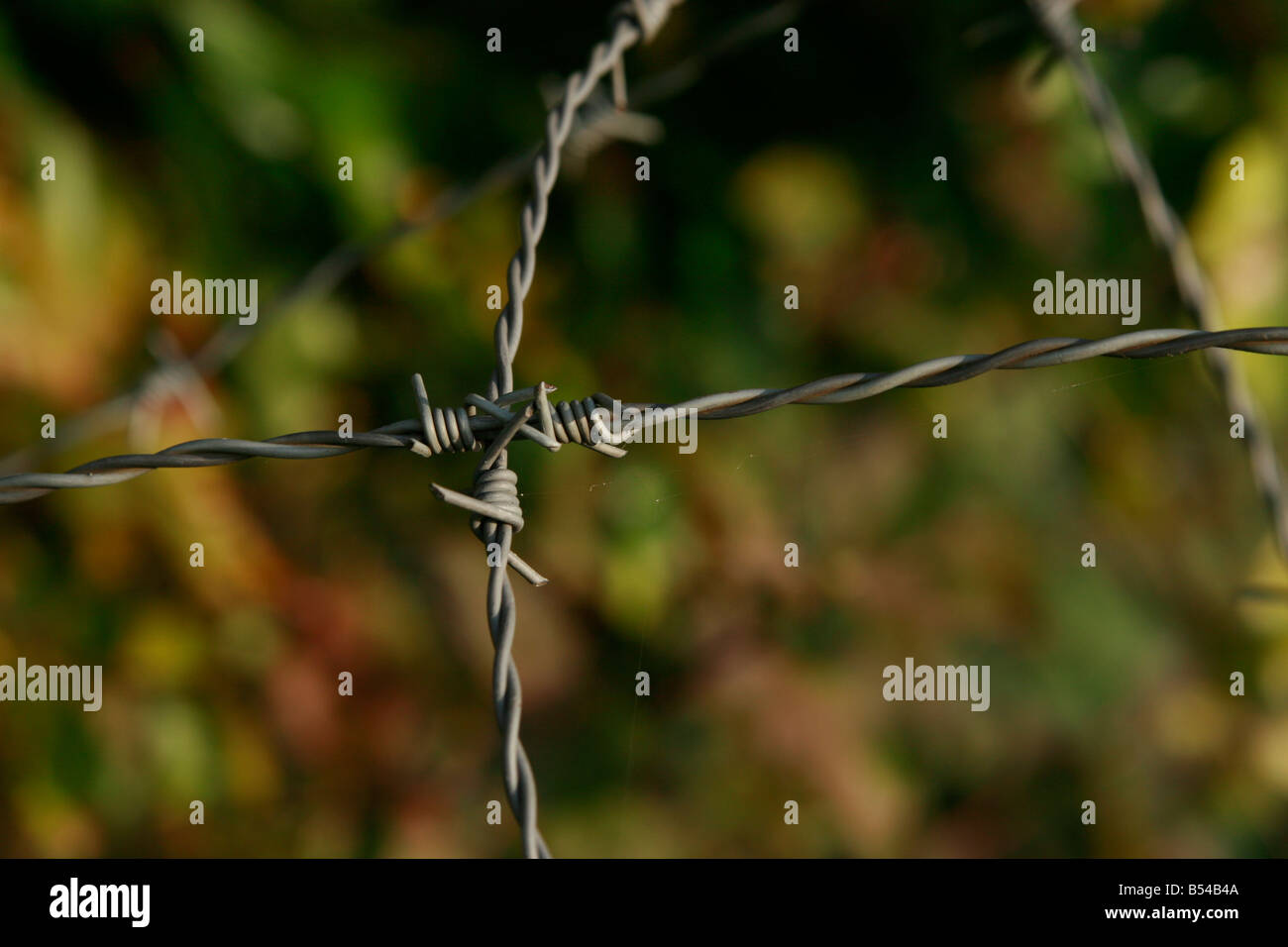 Wire wound fence hi-res stock photography and images - Alamy