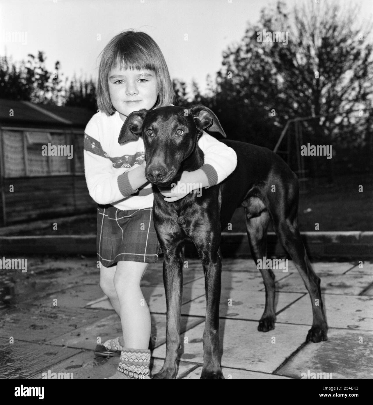 Children with animals. Julie Foster 6, with Jason the dog who was ...