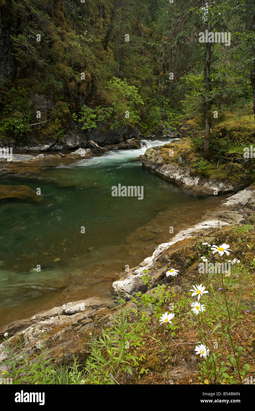 "Little Qualicum River Falls Stock Photo - Alamy