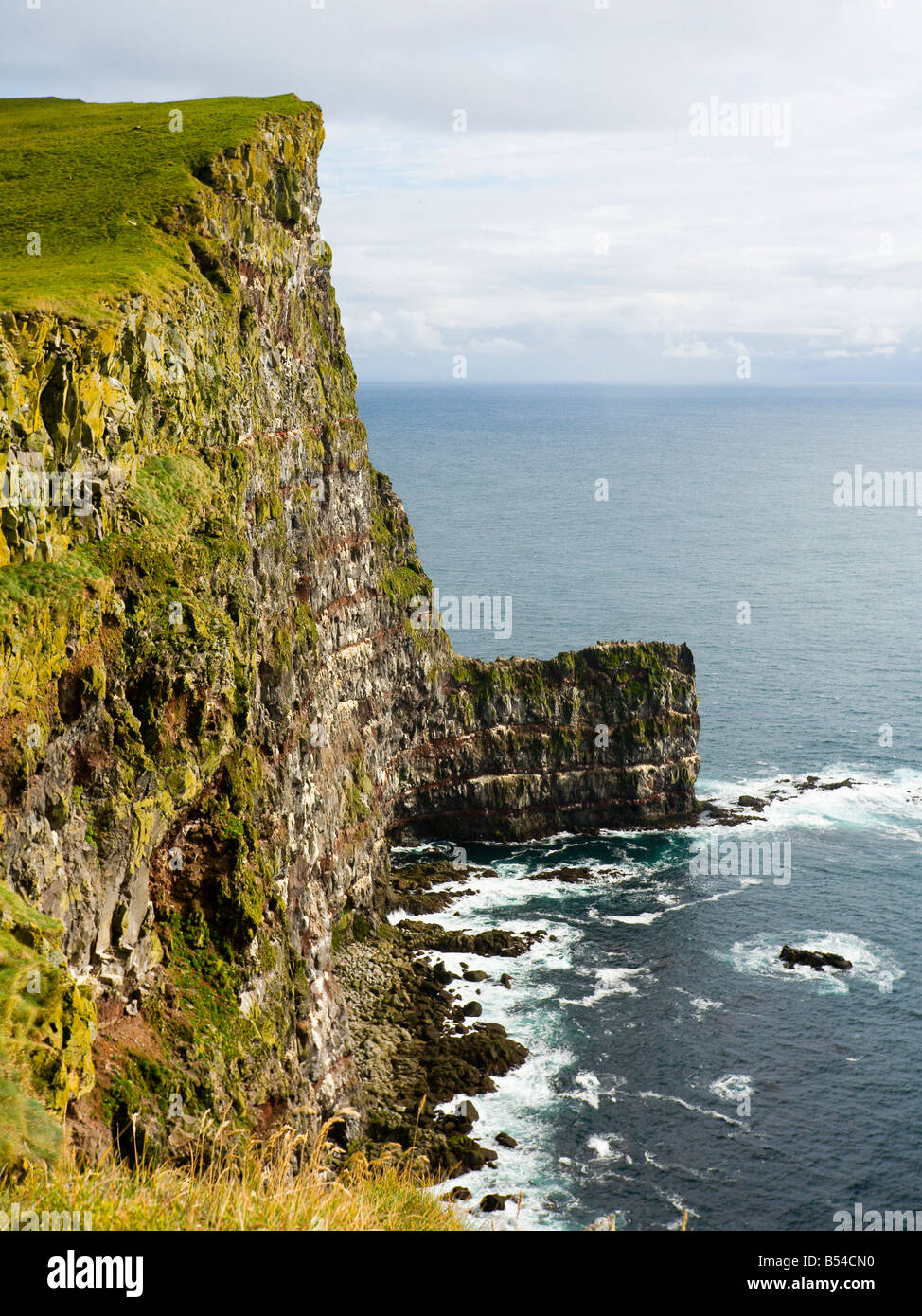 Magnifisant bird cliffs at Latrabjarg Icelands largest seacliff is 14km ...