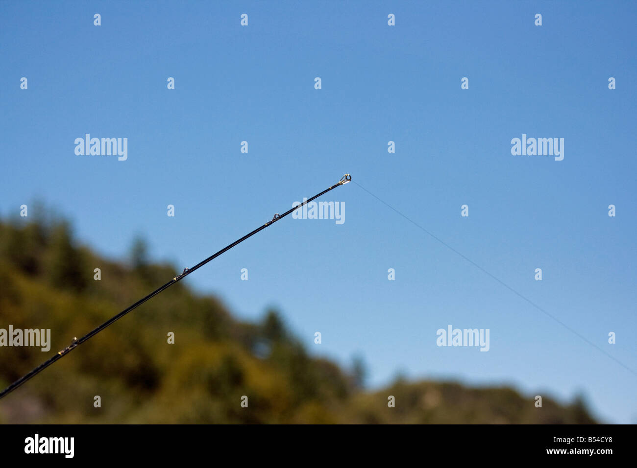 No fish hi-res stock photography and images - Alamy