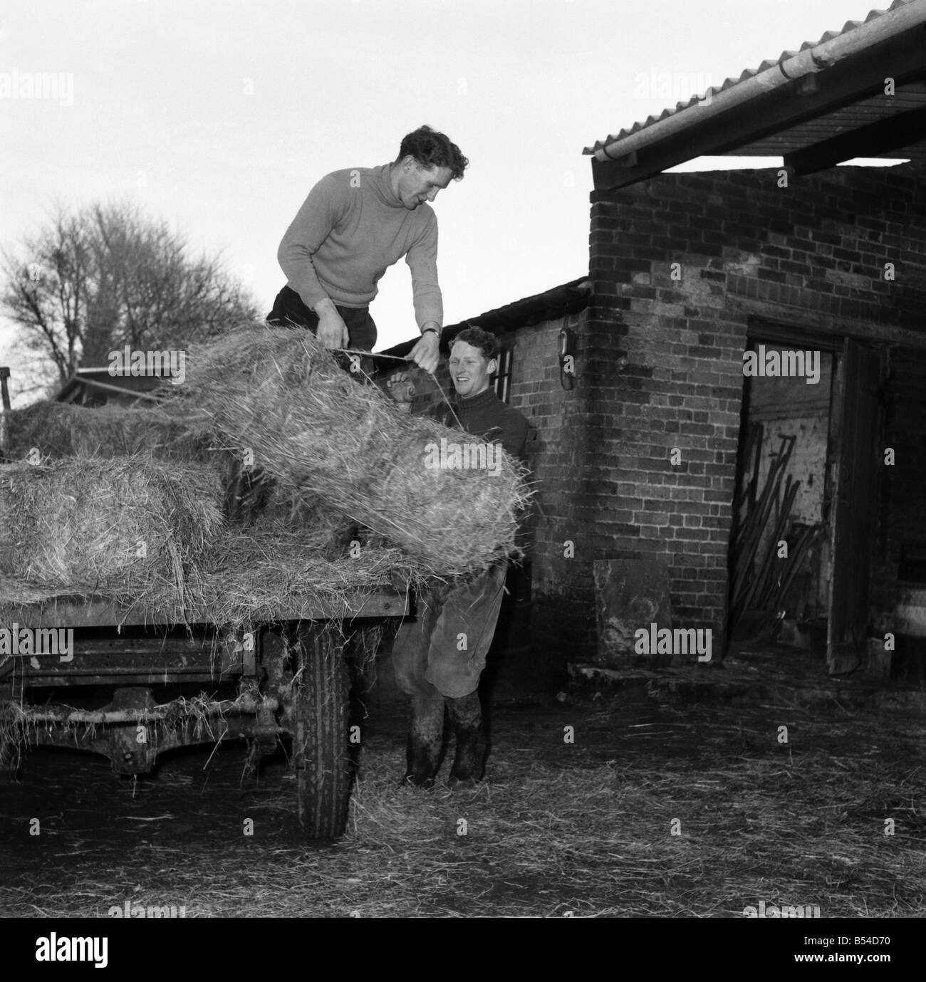 General Farming scenes at Hill Park Farm, Kent. Unloading bales of hay ...
