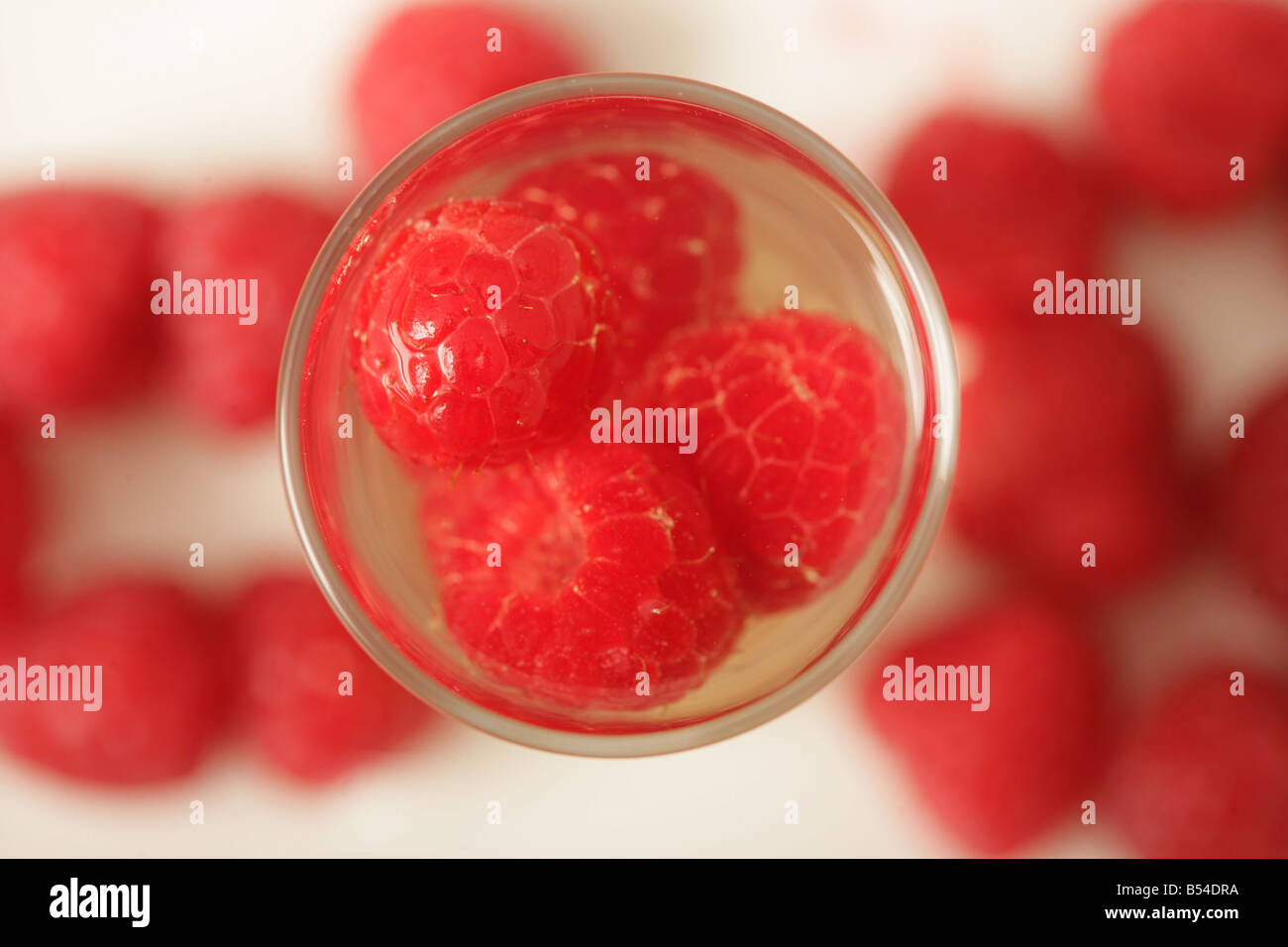 RASPBERRY AND ELDERFLOWER JELLY DAILY MIRROR STORY REF ANGELA DOWDEN ...