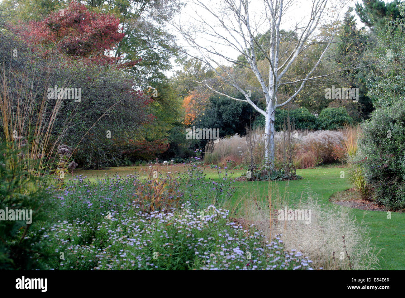 Knoll gardens dorset autumn hi-res stock photography and images - Alamy