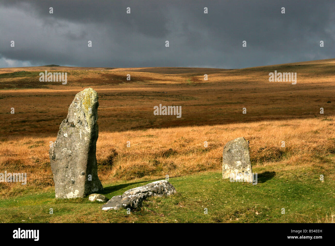 Standing stones at Scorhill stone circle on Dartmoor in Devon England ...