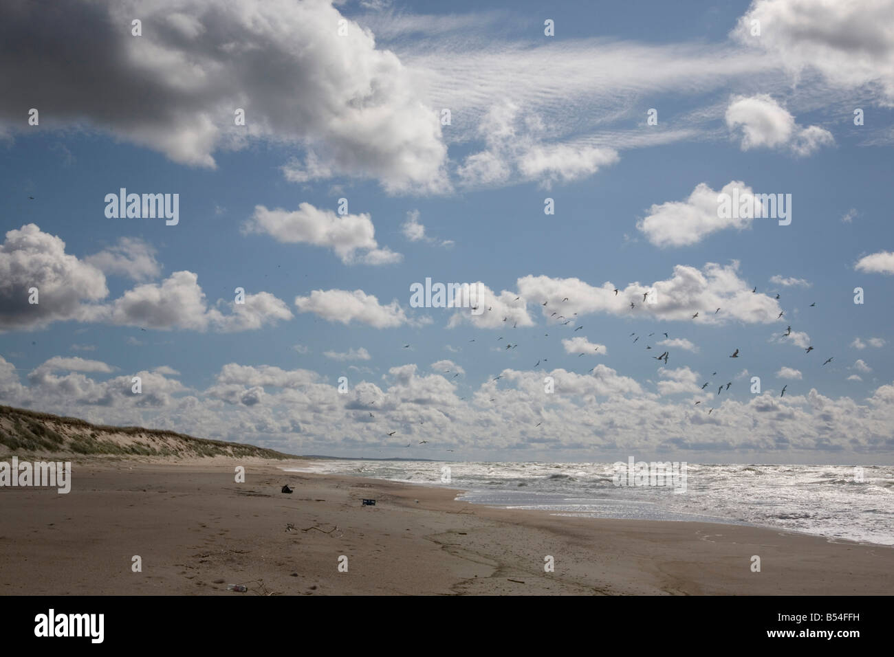 The Baltic beach of the Curonian spit in Lithuania Stock Photo - Alamy
