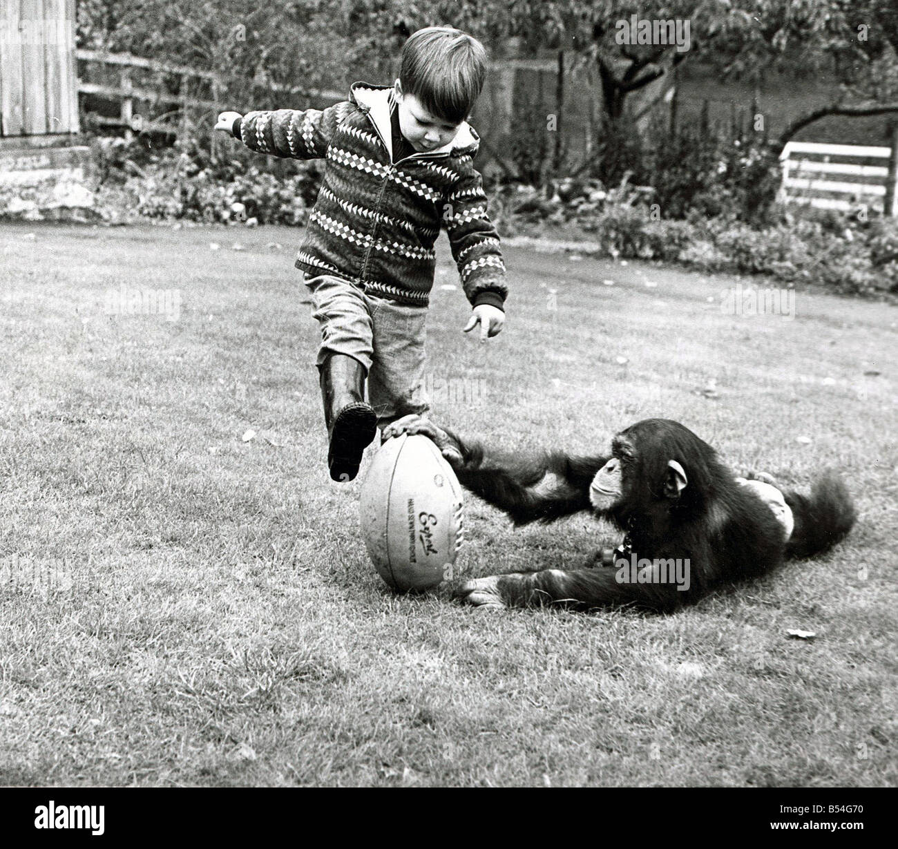 Little david Cawleyknows a thing or two about Rugby, and with the help ...