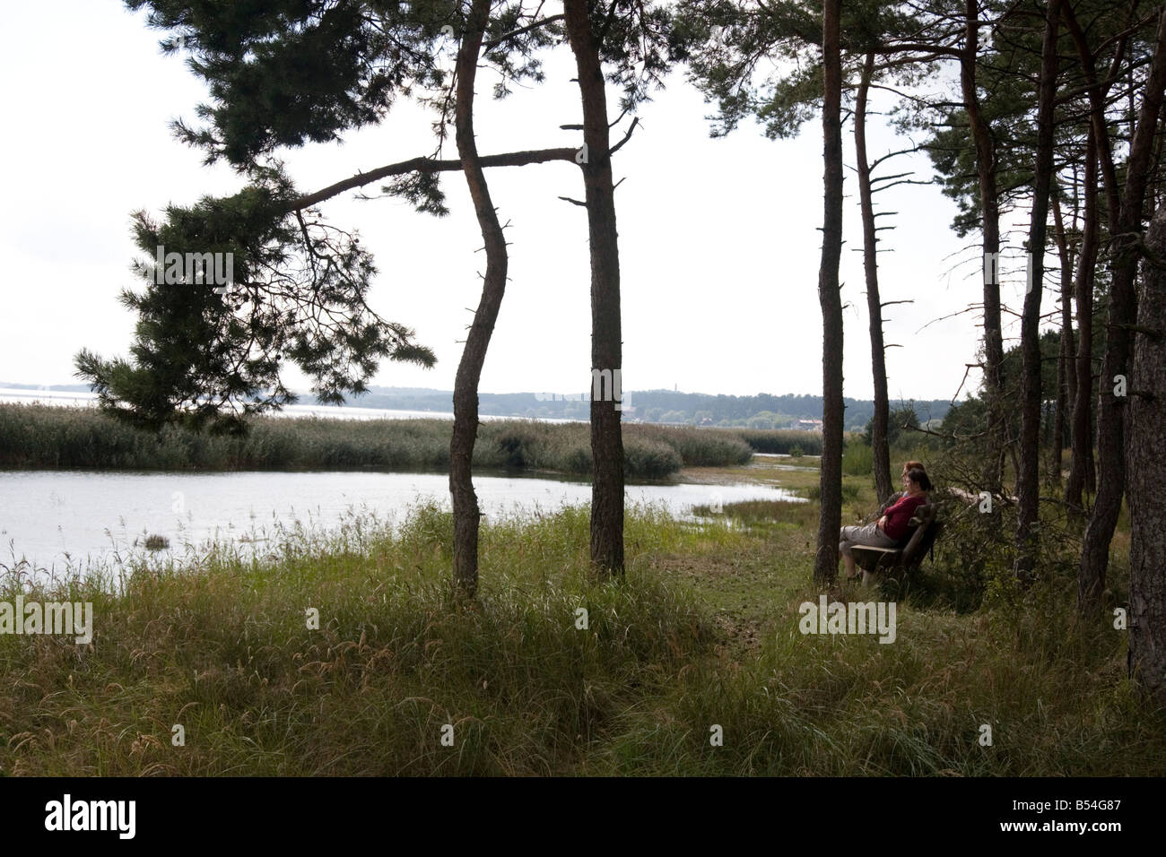 The Curonian spit and lagoon Lithuania Stock Photo - Alamy