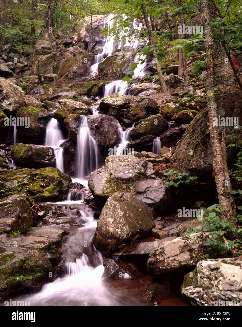 Waterfall moss shenandoah national park hi-res stock photography and ...
